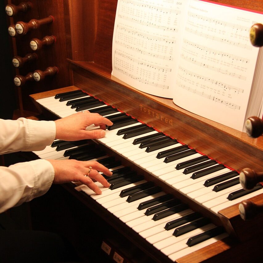 Digital Organ: Understanding the Evolution